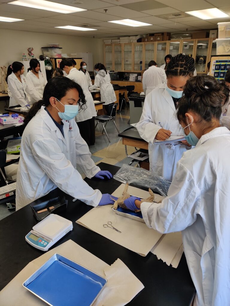 Home - Math and Science College Preparatory